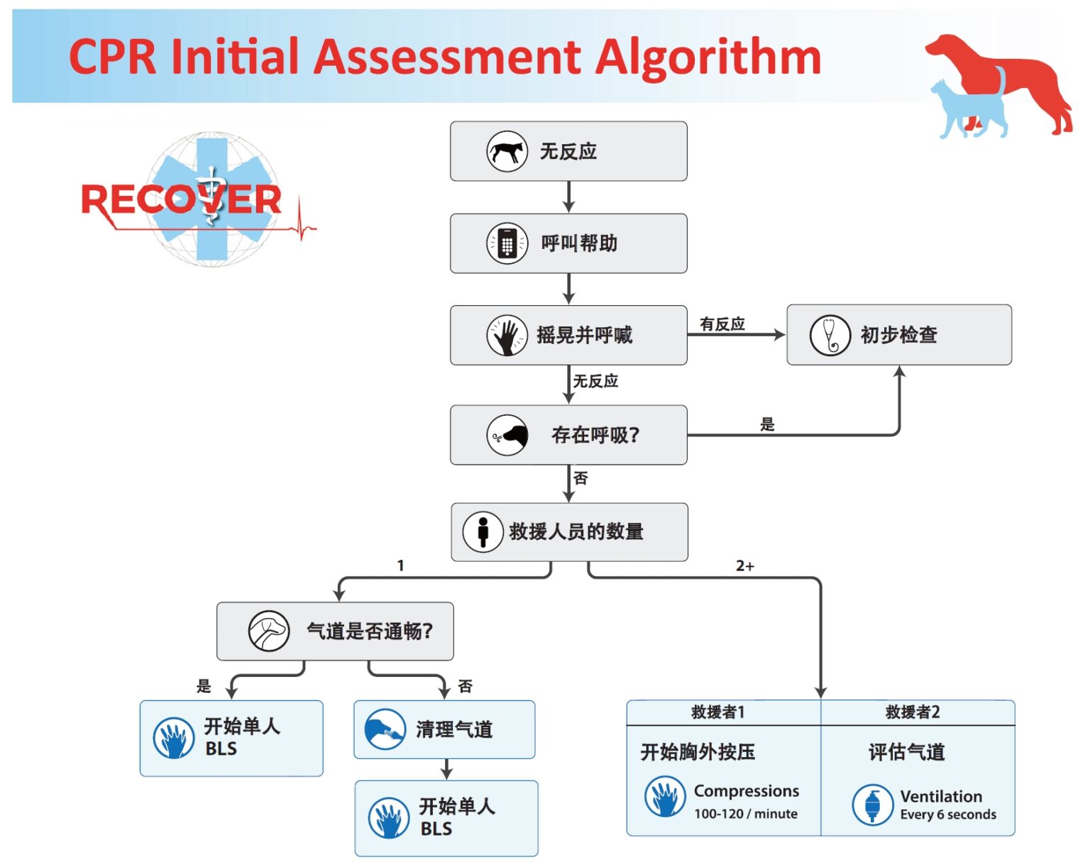 【实践】2024 RECOVER犬猫心肺复苏指南 - 萨萨的宠物文献笔记