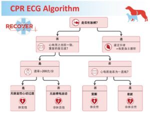 【实践】2024 RECOVER犬猫心肺复苏指南 - 萨萨的宠物文献笔记